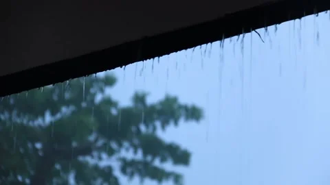 Eaves Dropping Stock Footage ~ Royalty Free Stock Videos | Pond5