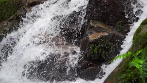 Close up of heavy waterfall in lush gree... | Stock Video | Pond5
