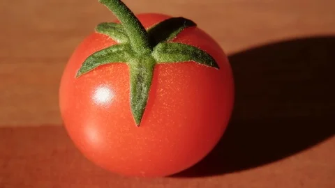 Home Grown Vidieos Stock Videos – Royalty-Free HD & 4K Videos