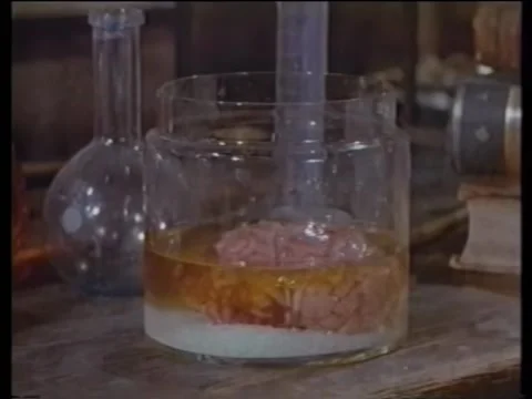 Reanimated Stock Footage ~ Royalty Free Stock Videos | Pond5