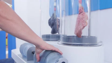 Im Models Stock Videos – Royalty-Free HD & 4K Videos