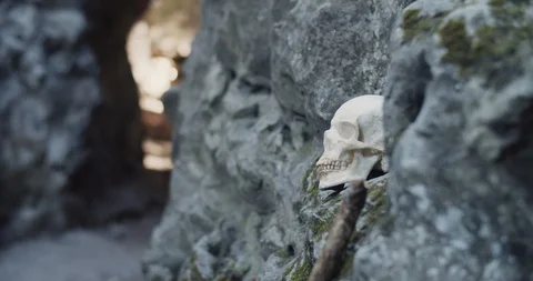 Close up human skull on a rock wall skel... | Stock Video | Pond5