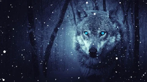 Image Gif Effect Stock Videos – Royalty-Free HD & 4K Videos | Pond5