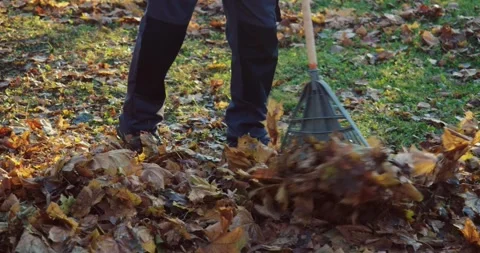 Close up of janitor in uniform raking fa... | Stock Video | Pond5