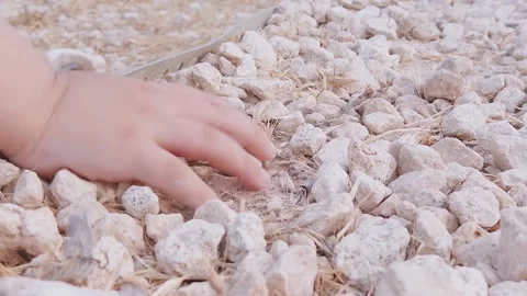 Hand Throwing Away Stock Video Footage | Royalty Free Hand Throwing ...