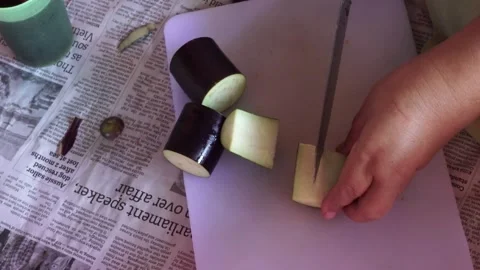 Brinja Stock Video Footage | Royalty Free Brinja Videos | Pond5