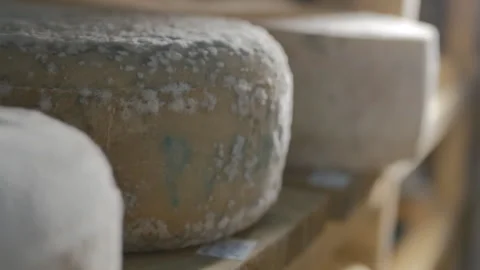 a close-up of large moldy cheese wheels ... | Stock Video | Pond5