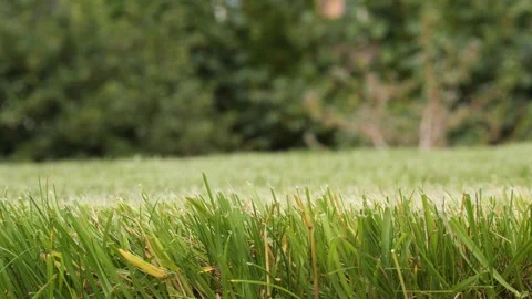 Outdoor Noise Machine Stock Videos – Royalty-Free HD & 4K Videos