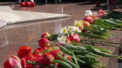 Close-up laying flowers red tulips and w... | Stock Video | Pond5