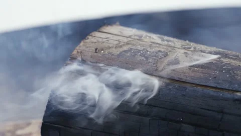 Close-up of a log of wood burning while ... | Stock Video | Pond5