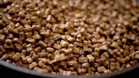 Close up, Lot of Dry Granules of Dry Pet... | Stock Video | Pond5