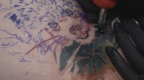 Animal Tattoo Artist Stock Videos – Royalty-Free HD & 4K Videos | Pond5