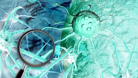 Close up of magnifying glass.Concept of ... | Stock Video | Pond5
