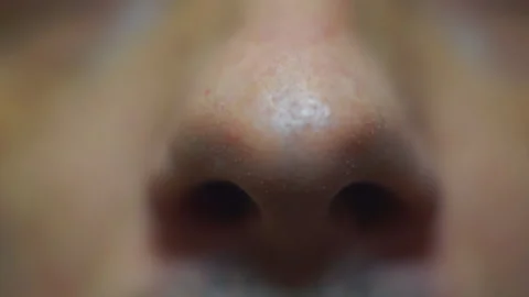 Nostrils Flaring Stock Video Footage | Royalty Free Nostrils Flaring ...