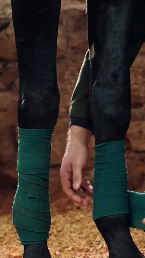 Man Leg Closeup Stock Videos – Royalty-Free HD & 4K Videos | Pond5