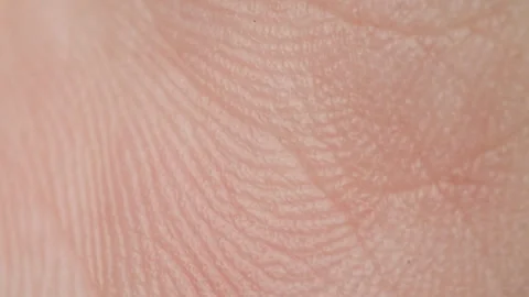 Close-up of man hand skin texture. Macro... | Stock Video | Pond5