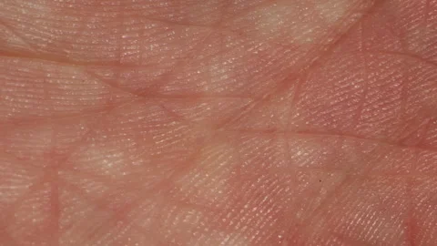 Close-up of man hand skin texture. Macro... | Stock Video | Pond5