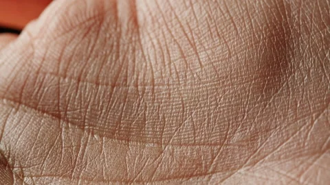 Human Hand Skin Texture