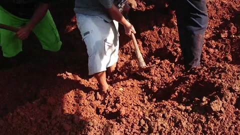 Close up of Man hoeing the ground in bar... | Stock Video | Pond5