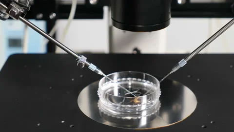 Icsi Stock Footage ~ Royalty Free Stock Videos | Pond5