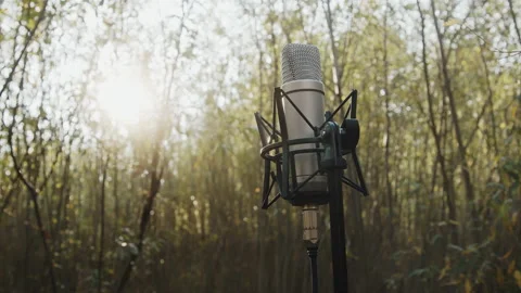 Close up, Microphone in the forest with ... | Stock Video | Pond5