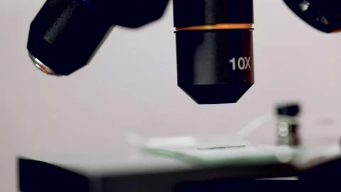 Close-up of microscope lens with sample ... | Stock Video | Pond5