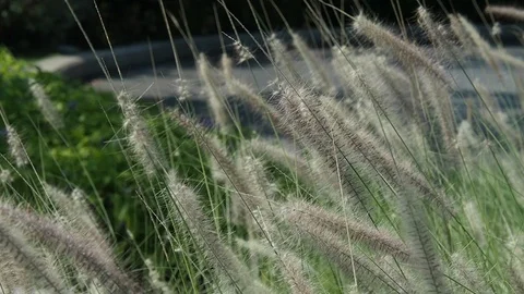 Mission Background Stock Footage ~ Royalty Free Stock Videos | Pond5