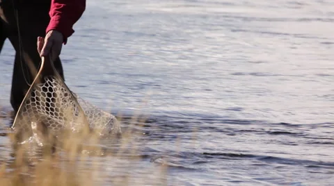 Fish Netting Stock Video Footage | Royalty Free Fish Netting Videos | Pond5