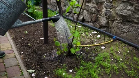 Countryside Od Stock Videos – Royalty-Free HD & 4K Videos