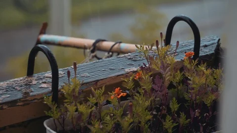 Close-up of the old balcony railing in h... | Stock Video | Pond5