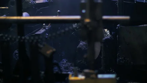 One Piece Hot Stock Videos – Royalty-Free HD & 4K Videos