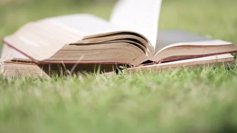 Close Up Open Stock Videos – Royalty-Free HD & 4K Videos | Pond5