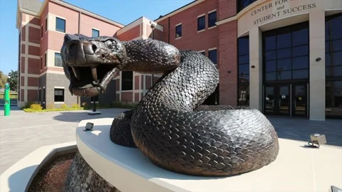 Famu Stock Footage ~ Royalty Free Stock Videos | Pond5