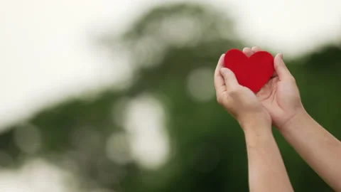 Close up of People cupped hands showing ... | Stock Video | Pond5