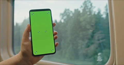 Forest Green Screen Stock Video Footage | Royalty Free Forest Green ...