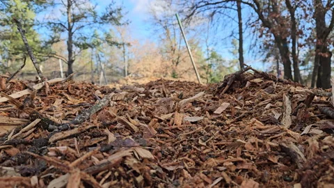 Close up of pile of mulch made from oak ... | Stock Video | Pond5
