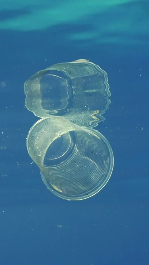 Close-up of plastic cup floating under w... | Stock Video | Pond5