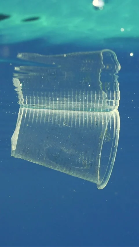 Close-up of plastic cup floating underwa... | Stock Video | Pond5