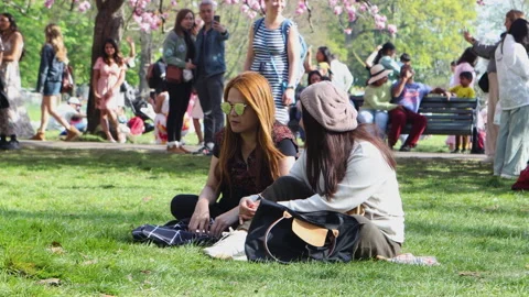 Asian Of Models Stock Videos – Royalty-Free HD & 4K Videos