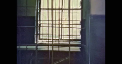 Close up, prison bars in jail building. ... | Stock Video | Pond5