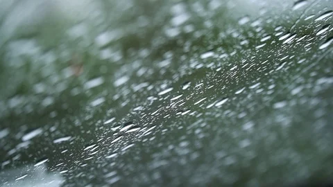 Glass Window Rain Stock Footage ~ Royalty Free Stock Videos | Pond5