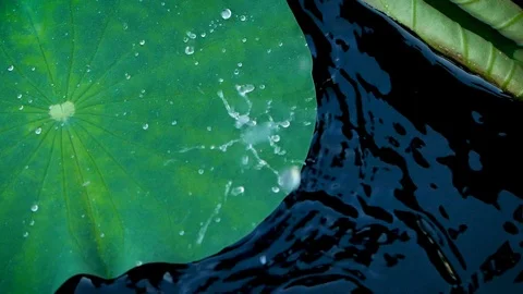 Drop Close Stock Videos – Royalty-Free HD & 4K Videos