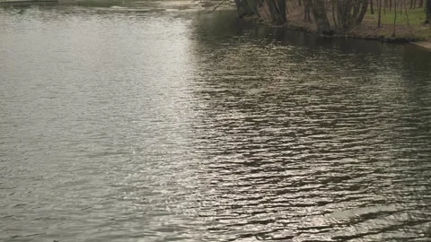 Close-up of ripples and small waves on t... | Stock Video | Pond5