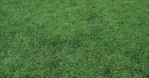 Close-up of Rolling Soccer Ball on Footb... | Stock Video | Pond5