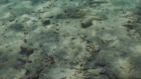 Close up of seabed polluted with plastic... | Stock Video | Pond5