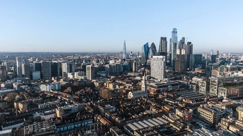 Bird Close Stock Videos – Royalty-Free HD & 4K Videos