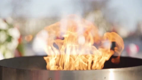 Constitution Burning Stock Video Footage | Royalty Free Constitution ...