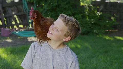 Chicken On Shoulder Stock Videos – Royalty-Free HD & 4K Videos | Pond5