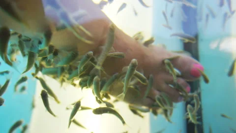 Female Foot Closeup Stock Videos – Royalty-Free HD & 4K Videos