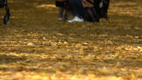 Close Up Shot of Footsteps on Fallen Lea... | Stock Video | Pond5